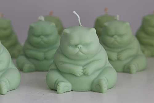 Brighter Sky Grumpy Cat Candle, Natural Premium Soy Wax, French Vanilla, Aesthetic Candles, Gift Ideas, Candle Décor, Gift for Her, Candle Gift, Gift for Friend, Decorative Candles (Green)