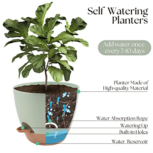 Giraffe Creation 9 inch Plant Pots 2-Pack, Self Watering Flower Pots Indoor Outdoor, Planters with Drainage Hole Saucer Reservoir, Green Brown