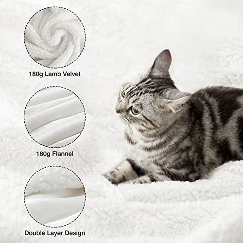 Friends Blanket Fleece Throw Blanket,Soft Warmer Flannel Blanket,Double-Layer Printed Blanket for Couch,Bedding,Sofa,Living Room and Camping 50"X40"