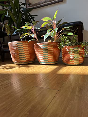 Artizenway Handmade Boho Plant Basket - Woven Planter Baskets - Plant Pot Cover Baskets for Plants - Date Palm Leaves Decorative Pattern Baskets - Storage Organizer (set of 3, Horizontal)