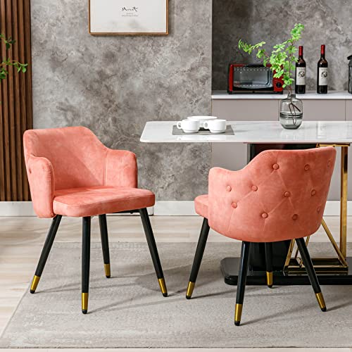 Freemax Velvet Dining Chair with Metal Legs, Upholstered Fabric Accent Armchair Button Tufted Modern Leisure Side Chairs for Living Room, Bedroom Office Desk Seat Makeup Vanity Stool (Coral)
