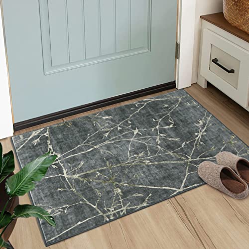 RUGSREAL Floral Area Rug 2x3 Grey Small Entryway Rug Doormat Welcome Doormat Non-Slip Washable Door Mat Low-Pile Carpet for Home Décor Indoor Outdoor Front Entrance Kitchen Bathroom