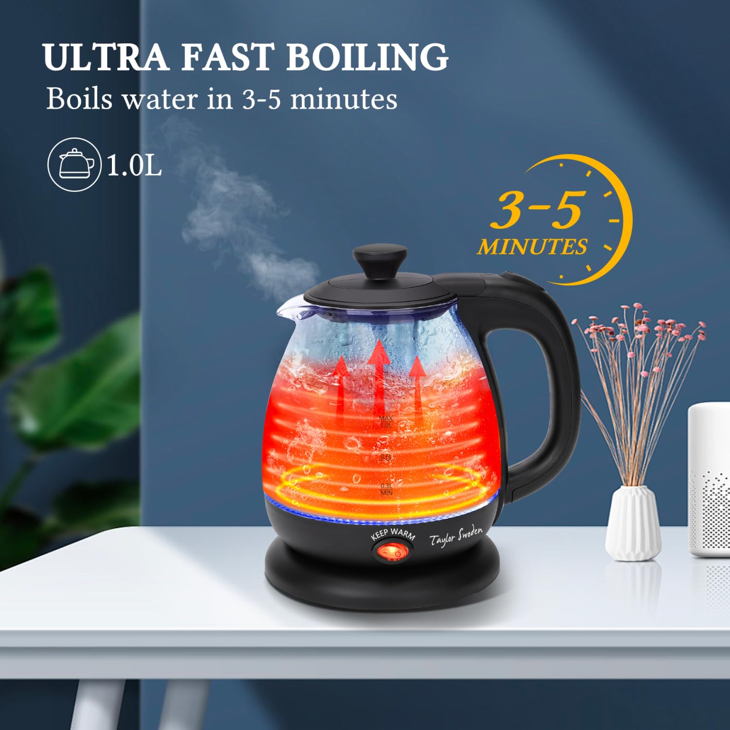 Electric Kettle with Tea Infuser, Small Electric Tea Kettle with Keep Warm Function for Home and Office, Black Taylor Swoden