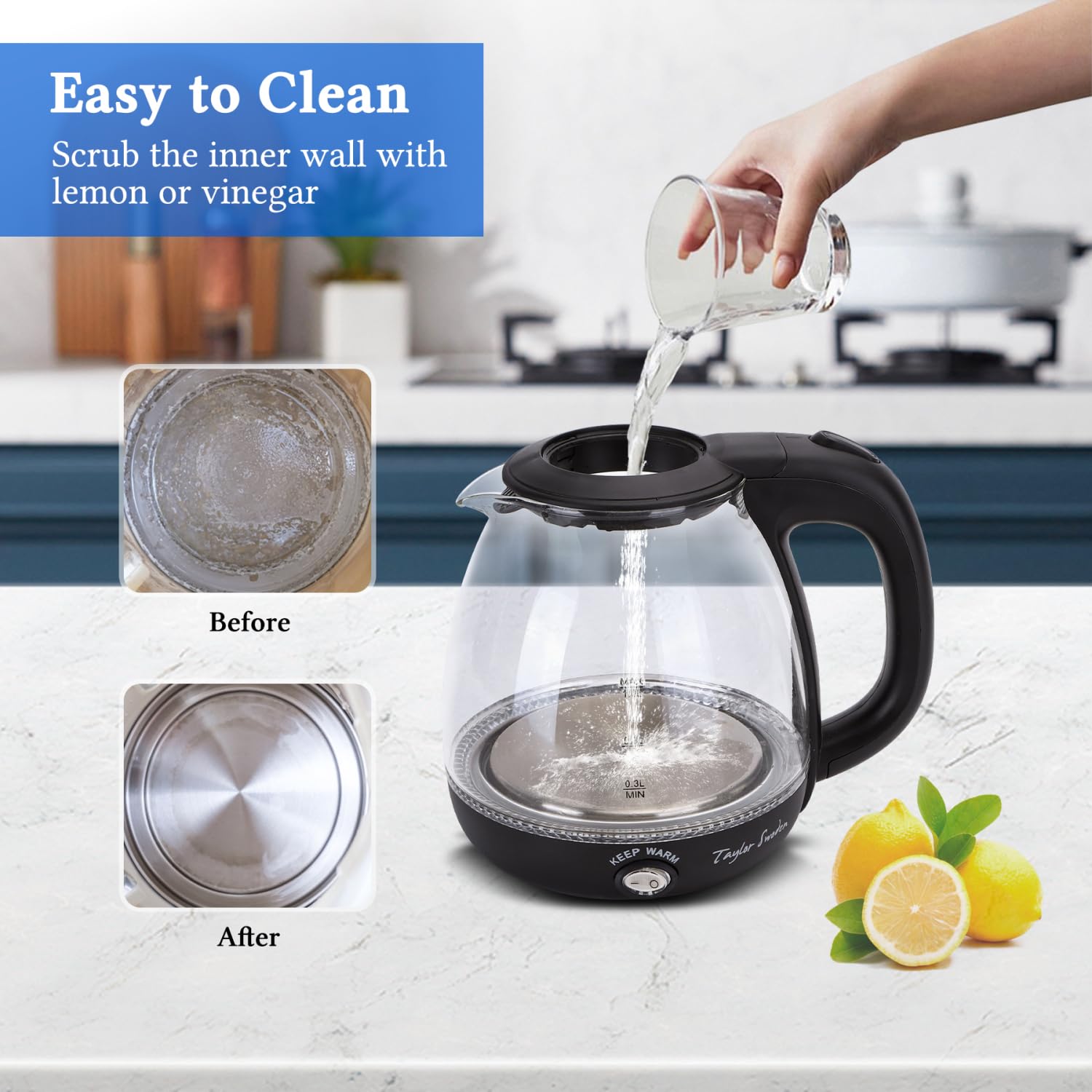 Electric Kettle with Tea Infuser, Small Electric Tea Kettle with Keep Warm Function for Home and Office, Black Taylor Swoden