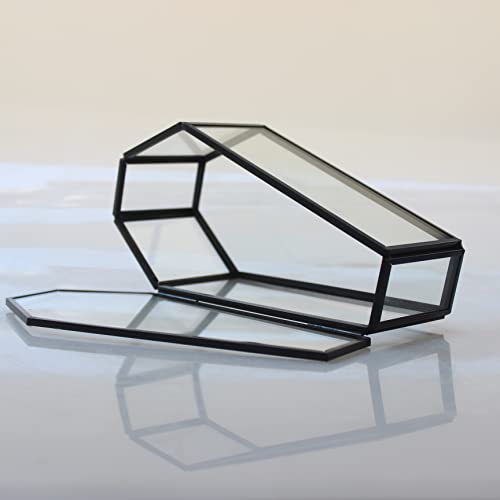 libproqia Small Coffin Glass Jewelry Box Black Trinkets Glass Coffin Terrarium Gothic Halloween Storage Vintage Coffin Box Glass Vampire Keepsake Display Organizer