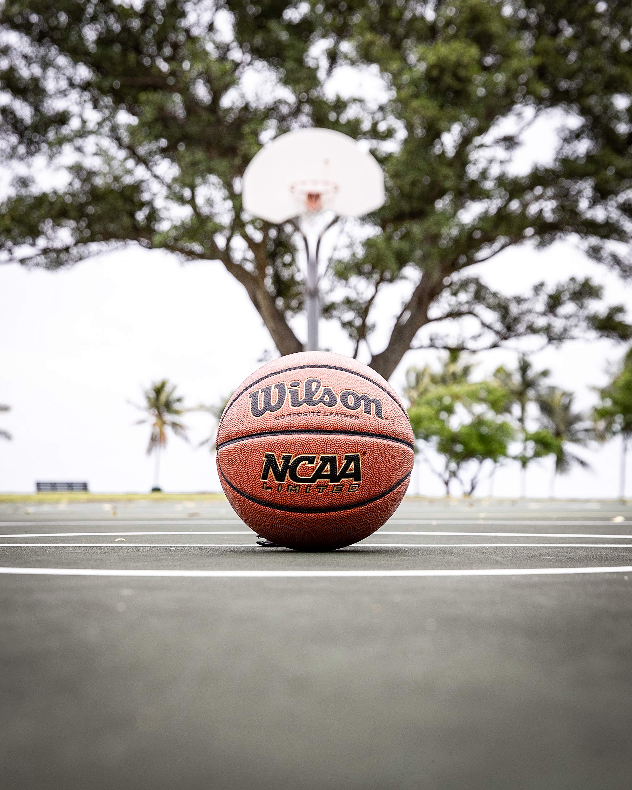 Wilson NCAA Limited Basketball - Size 7 - 29.5", Brown