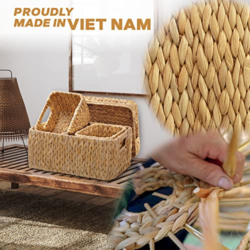 GaiaMade Water Hyacinth Storage Baskets with Lid, Wicker Baskets for Organizing and Storage, Set of 3 (1PC Large, 2PCS Medium, 1 Lid)