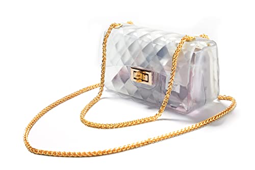 Mum's memory Semi Clear Purse for women Jelly Bag Clear Clutch Bag Stadium Approved Clear Crossbody Shoulder Clutch Handbag Cute Fashion Design See Through Clutch Mini Shoulder Bag