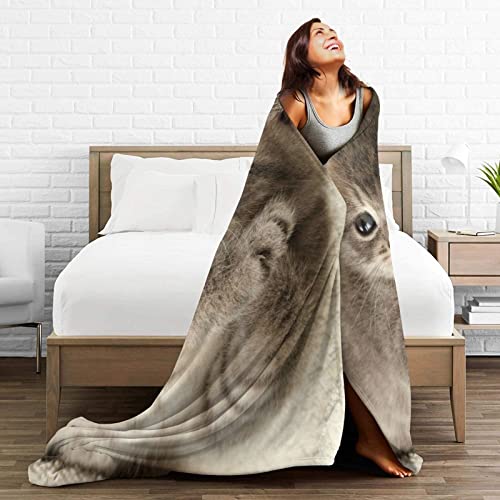Cute Cat Blanket Plush Warm Throw Blanket Soft Comfort for Sofa Chair Bed Office Travelling Camping 50"x60"