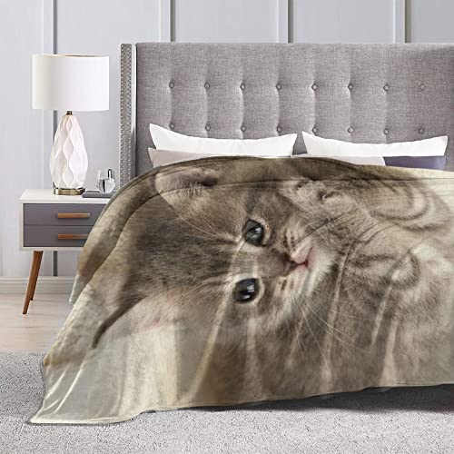 Cute Cat Blanket Plush Warm Throw Blanket Soft Comfort for Sofa Chair Bed Office Travelling Camping 50"x60"