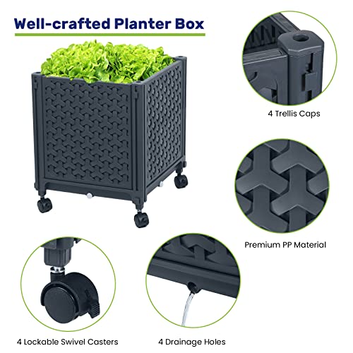 LINEX Raised Garden Bed Planter Box with Trellis, 56.7” Tomato Planters for Climbing Plants Vegetable Vine Flowers Outdoor Patio, Tomatoes Cage w/Self-Watering & Wheels
