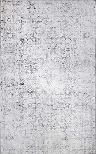 SUPERIOR Indoor Large Area Rug, Unique Rugs for Floor Accent, Bedroom, Living/Dining Room, Kitchen, Office, Entry, Rustic Home Decor, Cotton Backed, Huda Collection, 9' x 12', Azure