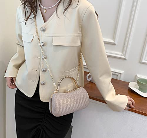 Eribby Women Clutch Evening Bag Purse for Wedding Party Prom and Cocktail Party