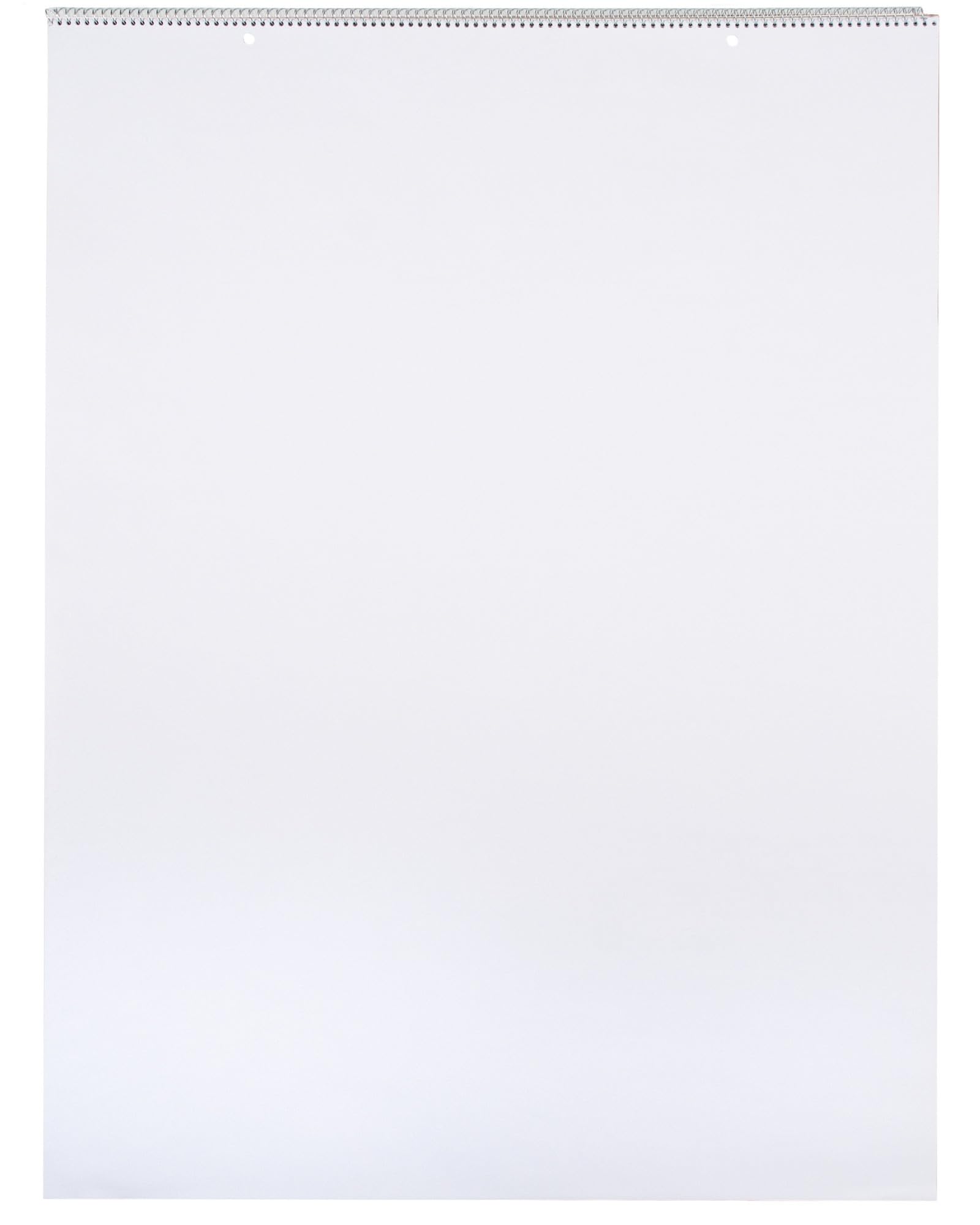 School Smart - 85325 Chart Tablet, 24 x 32 Inches, Unruled, 25 Sheets