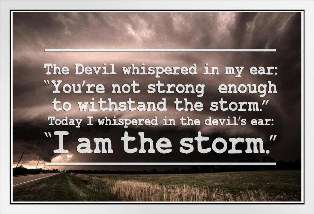 I Am The Storm Quote Motivational Inspirational Perseverance Determination Perseverance Strength Resilience Dedication Hustle Grind Ambition Motivational White Wood Framed Wall Art 20x14