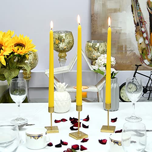 Zest Candle Inch, Yellow 12-Piece Taper Candles, 12", 12 Count
