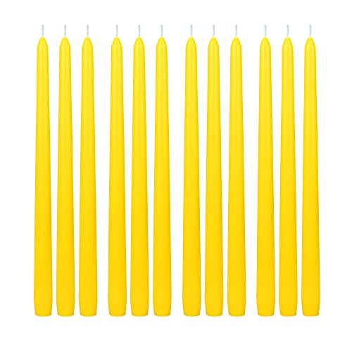 Zest Candle Inch, Yellow 12-Piece Taper Candles, 12", 12 Count