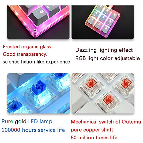 hokistudio 9 Keys 24 Macro Programmable Setting Keypad RGB Backlight Mechanical Keyboard for OSU Single-Handed Keyboard Electric Contest Game PC Laptop MAC Win Geeker Outemu Red Switch