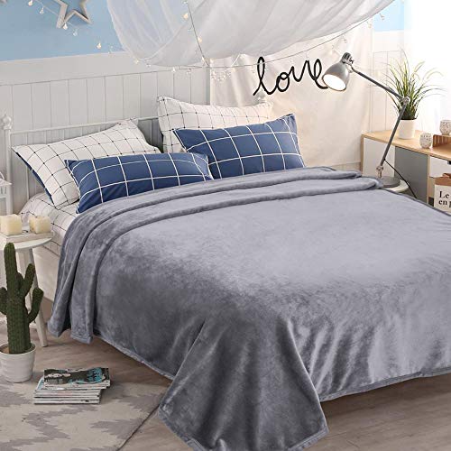 EMME Velvet Fleece Twin Blanket Quality High-Density Bed Blankets for Couch Silky Soft Twin Blankets Premium Cozy Fleece Blankets and Throws Lightweight and Warm for All Season (Grey, 60" x 80")