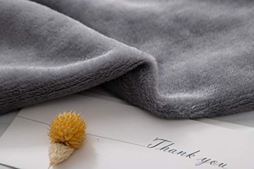 EMME Velvet Fleece Twin Blanket Quality High-Density Bed Blankets for Couch Silky Soft Twin Blankets Premium Cozy Fleece Blankets and Throws Lightweight and Warm for All Season (Grey, 60" x 80")