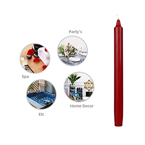 Zest Candle 12-Piece Taper Candles, 10-Inch, Red Straight