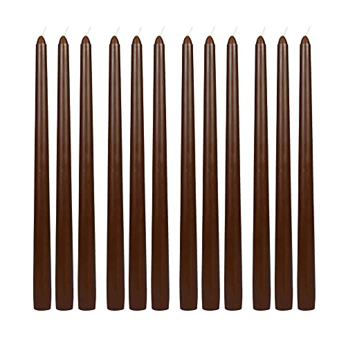 Zest Candle 12-Piece Taper Candles, 12-Inch, Brown