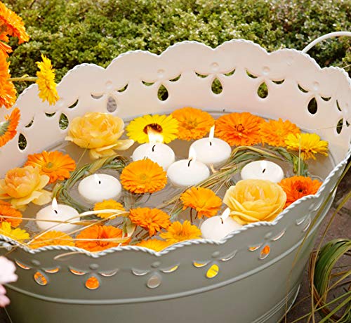 Floating Candles,Classic Unscented Tealight Shape Candles with 100PCS Silk Rose Petals,Mini Candle Discs for Weddings,Anniversaries,Birthdays,Home Decoration,Spa,Relaxation,10PACK (Ivory)