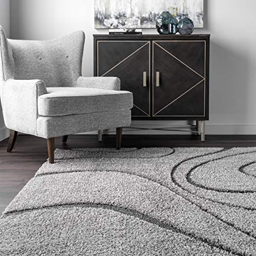 nuLOOM Carolyn Cozy Soft & Plush Shag Area Rug, 4' x 6', Dark Grey