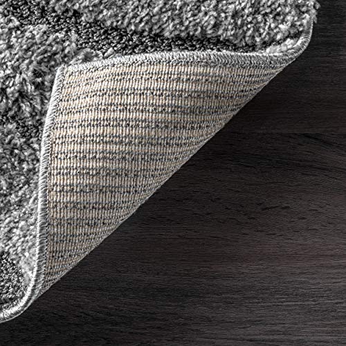 nuLOOM Carolyn Cozy Soft & Plush Shag Area Rug, 4' x 6', Dark Grey