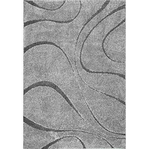nuLOOM Carolyn Cozy Soft & Plush Shag Area Rug, 4' x 6', Dark Grey