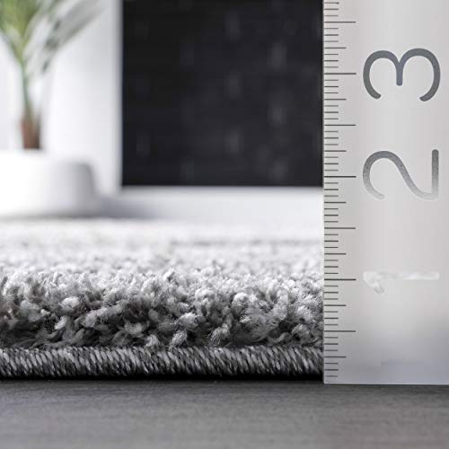 nuLOOM Carolyn Cozy Soft & Plush Shag Area Rug, 4' x 6', Dark Grey