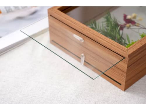 Cumuiu Shadow Box Frame Display Dried Flowers Frame Double Sided Plant Specimen Frame for Pressed Flowers Dried Leaf (6" x 8")