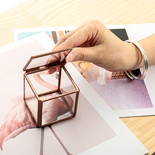 Feyarl Tiny Clear Glass Jewelry Trinket Box Ornate Rings Earrings Shadow Organizer Treasure Chest Decorative Keepsake Case with Lid for Wedding Birthday Gift (Brass)