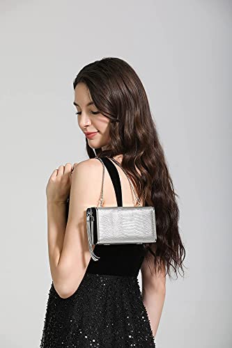 Women Silver Clutch Purse Small Box Sparkly Evening Bag in Hardcase with Metallic Tassel for Party Wedding with Gift Packing