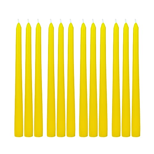 Zest Candle 12-Piece Taper Candles, 10-Inch, Yellow