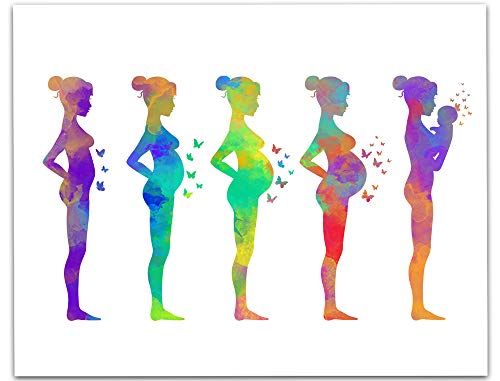 Pregnant Lady Stages Abstract Wall Art Print 14x11, Ideal for Obstetrician, Gynecologist, MidWife, Doula or Labor Nurse, Great Practice Decor