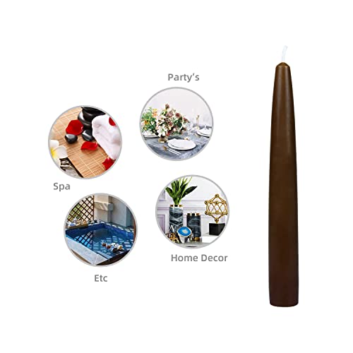 Zest Candle, 6-Inch, Brown 12-Piece Taper Candles, Count