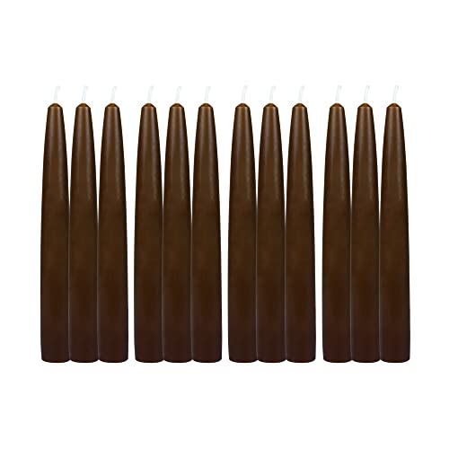 Zest Candle, 6-Inch, Brown 12-Piece Taper Candles, Count