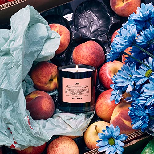 Les Boy Smells Candle | 50 Hour Long Burn | Coconut & Beeswax Blend | Luxury Scented Candles for Home (8.5 oz)