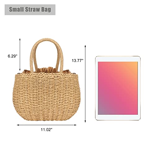 Straw Bags for Women, Hand-woven Straw Small Hobo Bag Round Handle Ring Tote Retro Summer Beach Rattan bag (Brown)