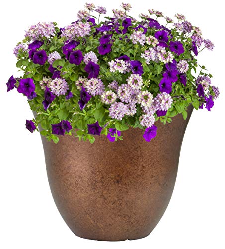 Classic Home and Garden Honeysuckle Patio Pot Garden Planter, Distressed Copper