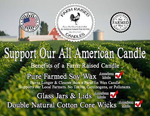 Fresh Spring Scented Wax Melts - 30 Cubes Variety - 100% USA Made - All Natural Plant Wax - Warmer Cubes Lavender, Lemon, Spring, Raspberry Vanilla, Cucumber Melon