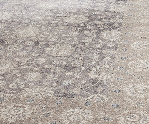 SAFAVIEH Sofia Collection 9' x 12' Light Grey/Beige SOF330B Vintage Oriental Distressed Non-Shedding Living Room Bedroom Dining Home Office Area Rug