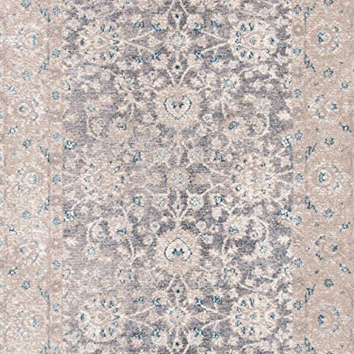 SAFAVIEH Sofia Collection 9' x 12' Light Grey/Beige SOF330B Vintage Oriental Distressed Non-Shedding Living Room Bedroom Dining Home Office Area Rug