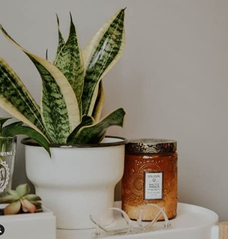 Voluspa Baltic Amber Candle | Large Glass Jar | 18 Oz | 100 Hour Burn Time | All Natural Wicks and Coconut Wax for Clean Burning | Vegan