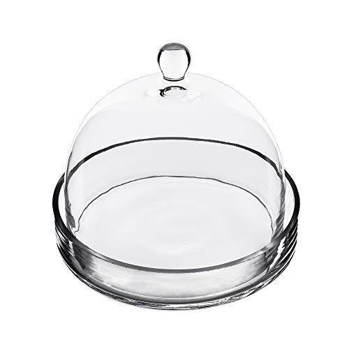 CYS EXCEL Bell Dome Cloche with Glass Base (H:7.5" W:8") | Multiple Size Choices Cake Dessert Display | Terrarium Jar Plant Cover
