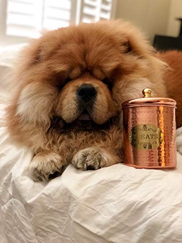 Amici Pet Copper Spaniel Treats Canister Decorative Hand Made Hammered Finish Metal Storage Container, 38 oz. Capacity (Medium)