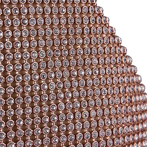CROWN GUIDE Women's Vintage Evening Bags Clutches Bling Beaded Wedding Party Gowns Formal Prom Purses Handbags With Wristlet Champagne