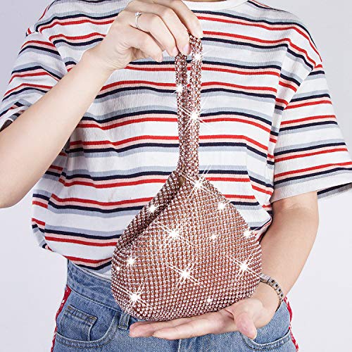 CROWN GUIDE Women's Vintage Evening Bags Clutches Bling Beaded Wedding Party Gowns Formal Prom Purses Handbags With Wristlet Champagne