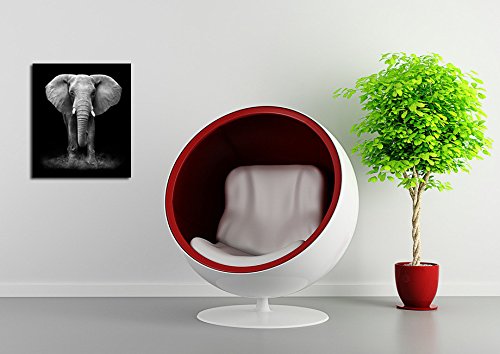 Inzlove Large Size Modern Animal Painting Black and White Elephant Canvas Wall Art Print for Living Room Decor (Framed 30x40inch)